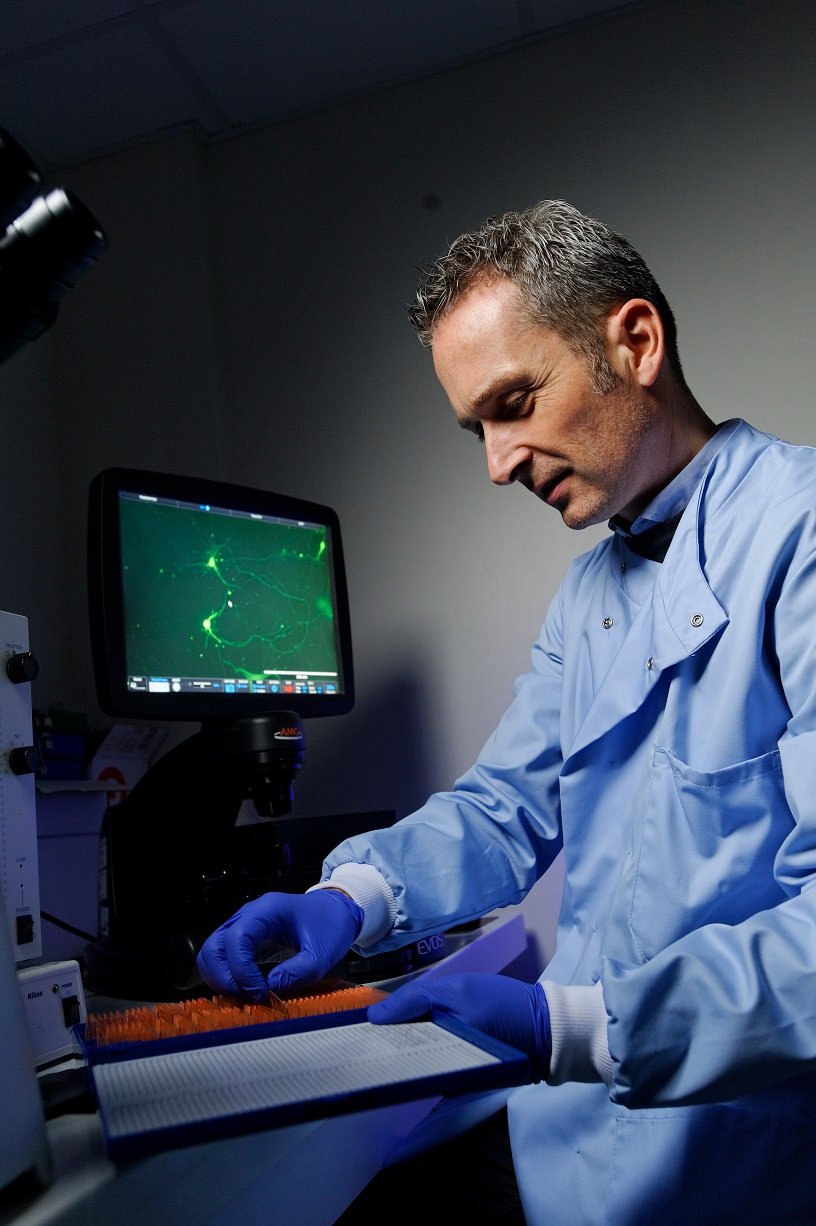 Le cerveau sous toutes les coutures · Inserm, La science pour la santé