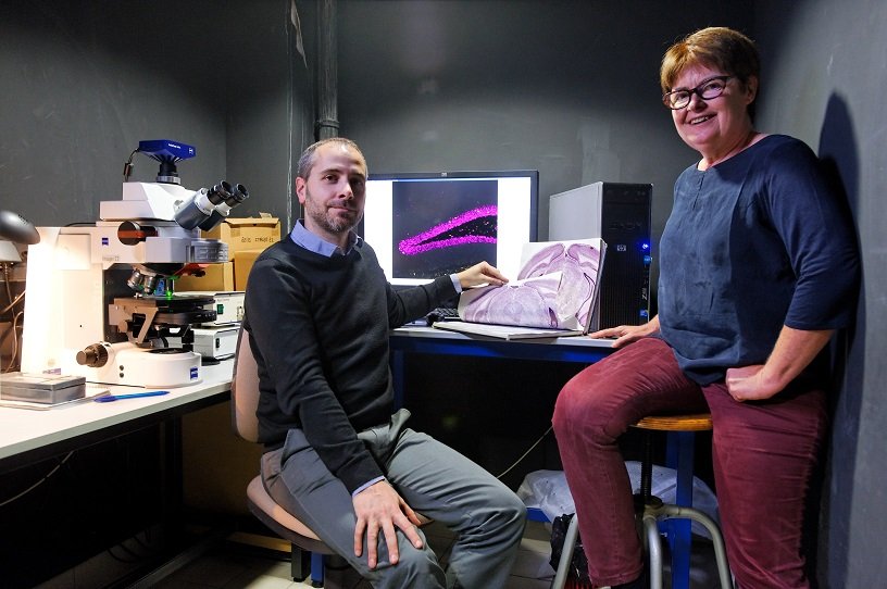 Le cerveau sous toutes les coutures · Inserm, La science pour la santé