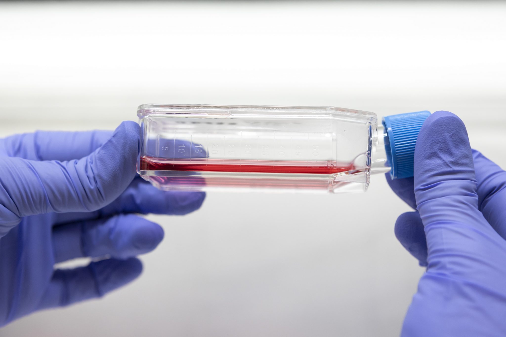 Délégation régionale Paris Île-de-France Sud de l'Inserm · Inserm, La ...